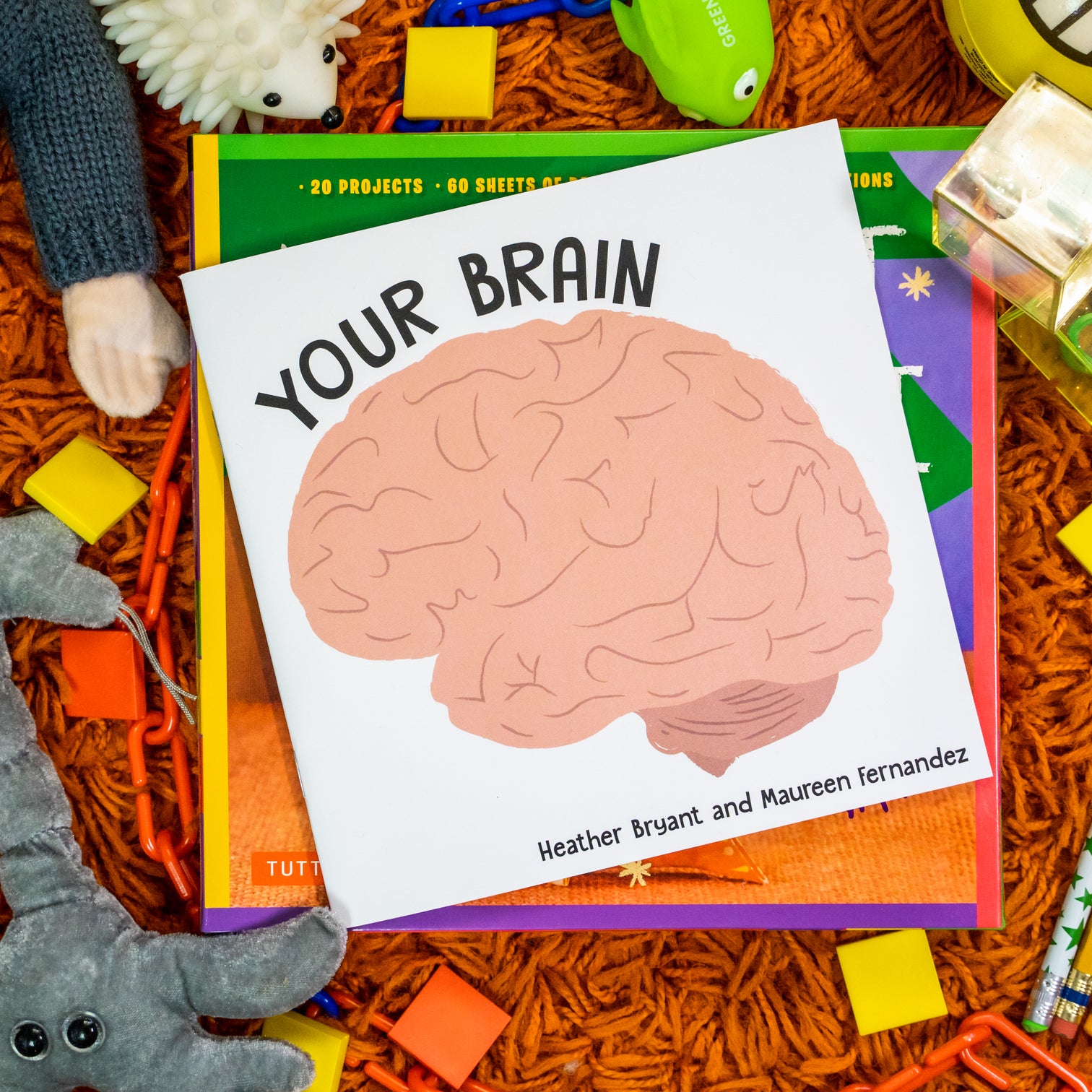 Kid-Friendly Brain Facts | Your Brain Book – Momentous Institute Shop
