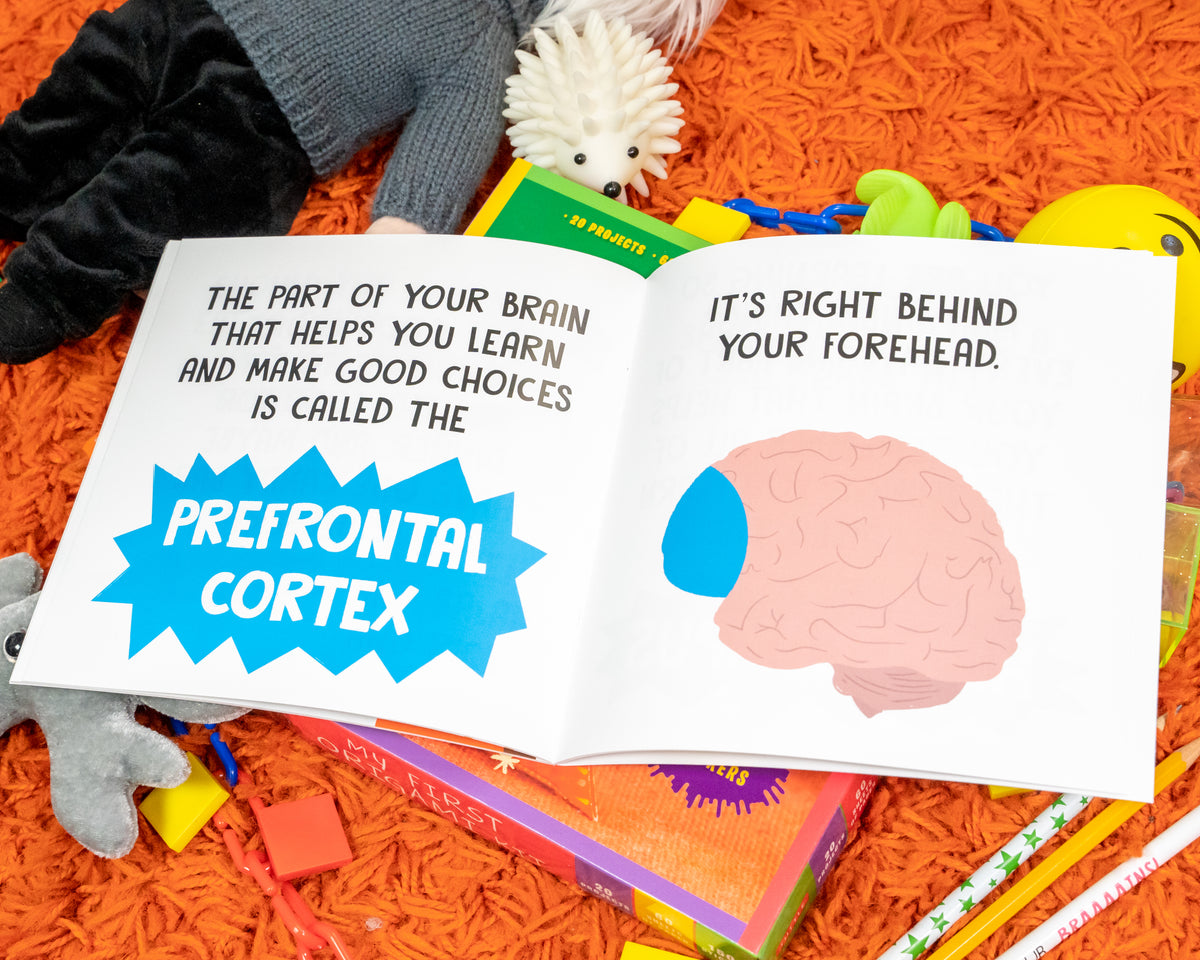 Kid-Friendly Brain Facts | Your Brain Book – Momentous Institute Shop
